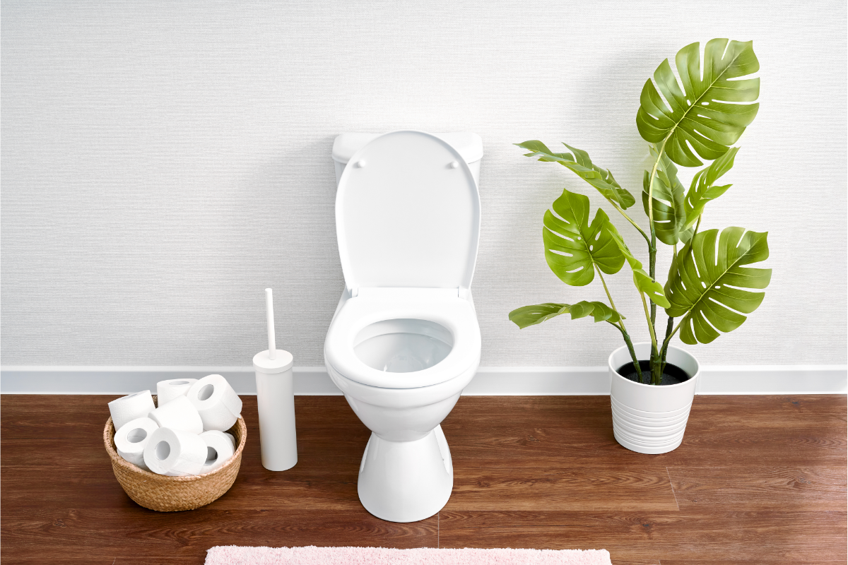 Conseils déco : Toilette chic et fun en 5 astuces simples